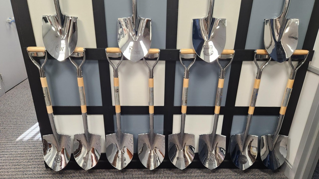 TRIDENT Project Advantage Group - Owner's Project Manager - Trident Group